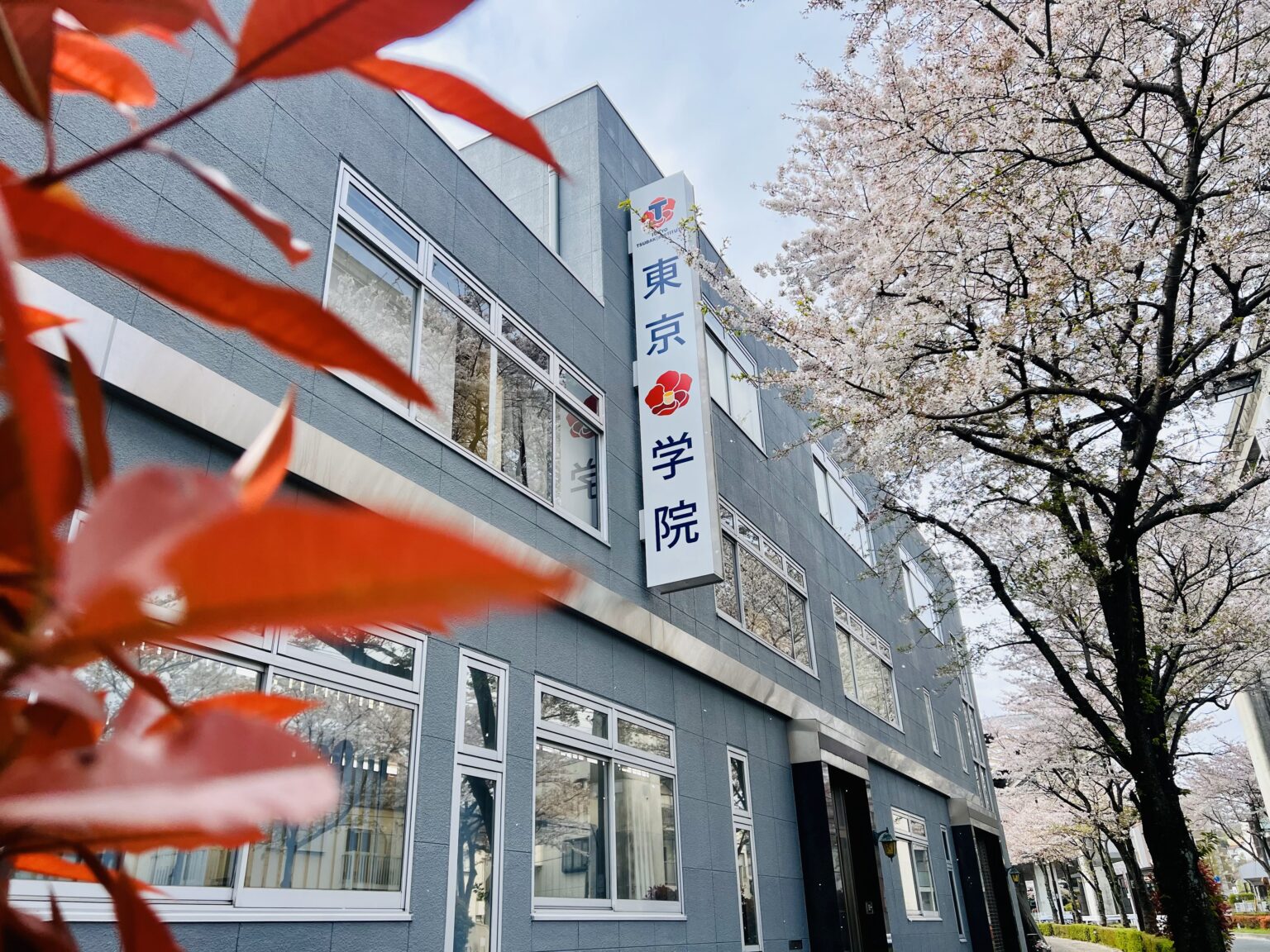 🌺東京桜ケ丘学院グループ 東京椿学院開校🌺 | 東京桜ヶ丘学院